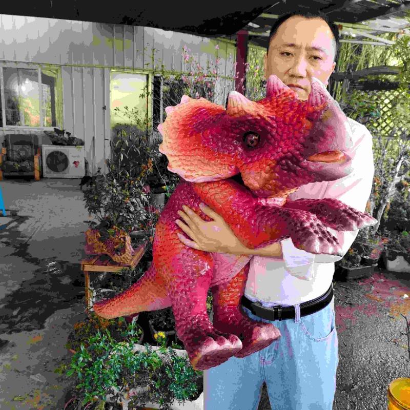 Dinosaur Hand Puppets - dragon culture